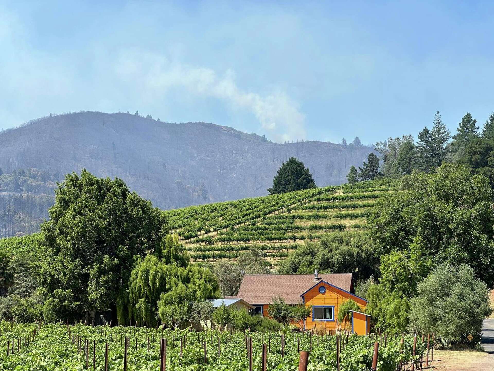 Colusa's Sites Fire at 15K acres, more California wildfires rage