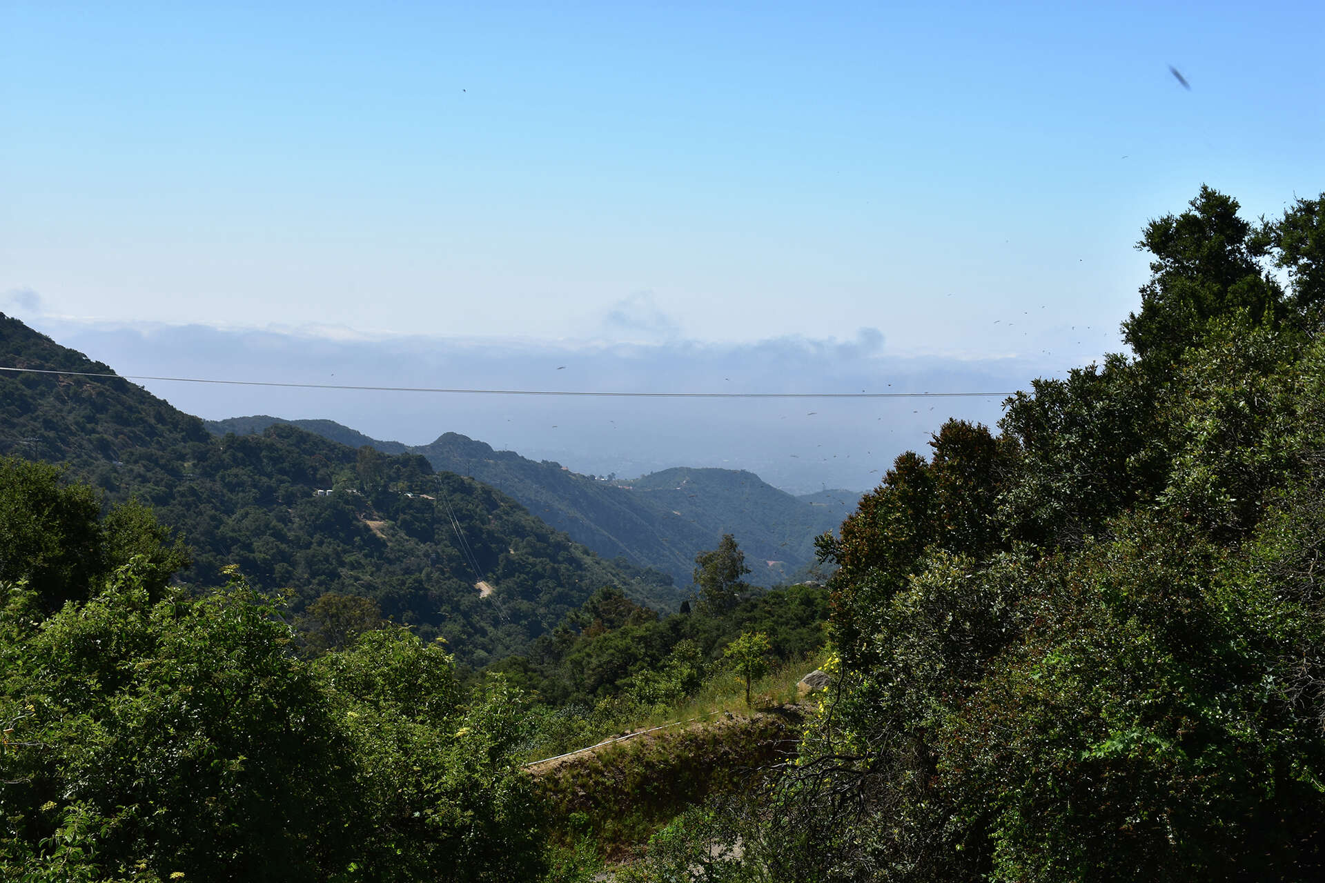 Everyone has an opinion on this dangerous California highway shortcut