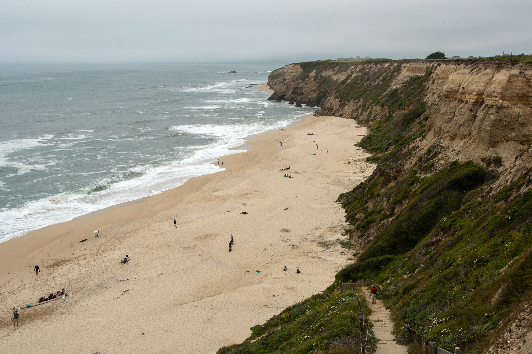 Death of whale that washed up in Bay Area is shrouded in mystery