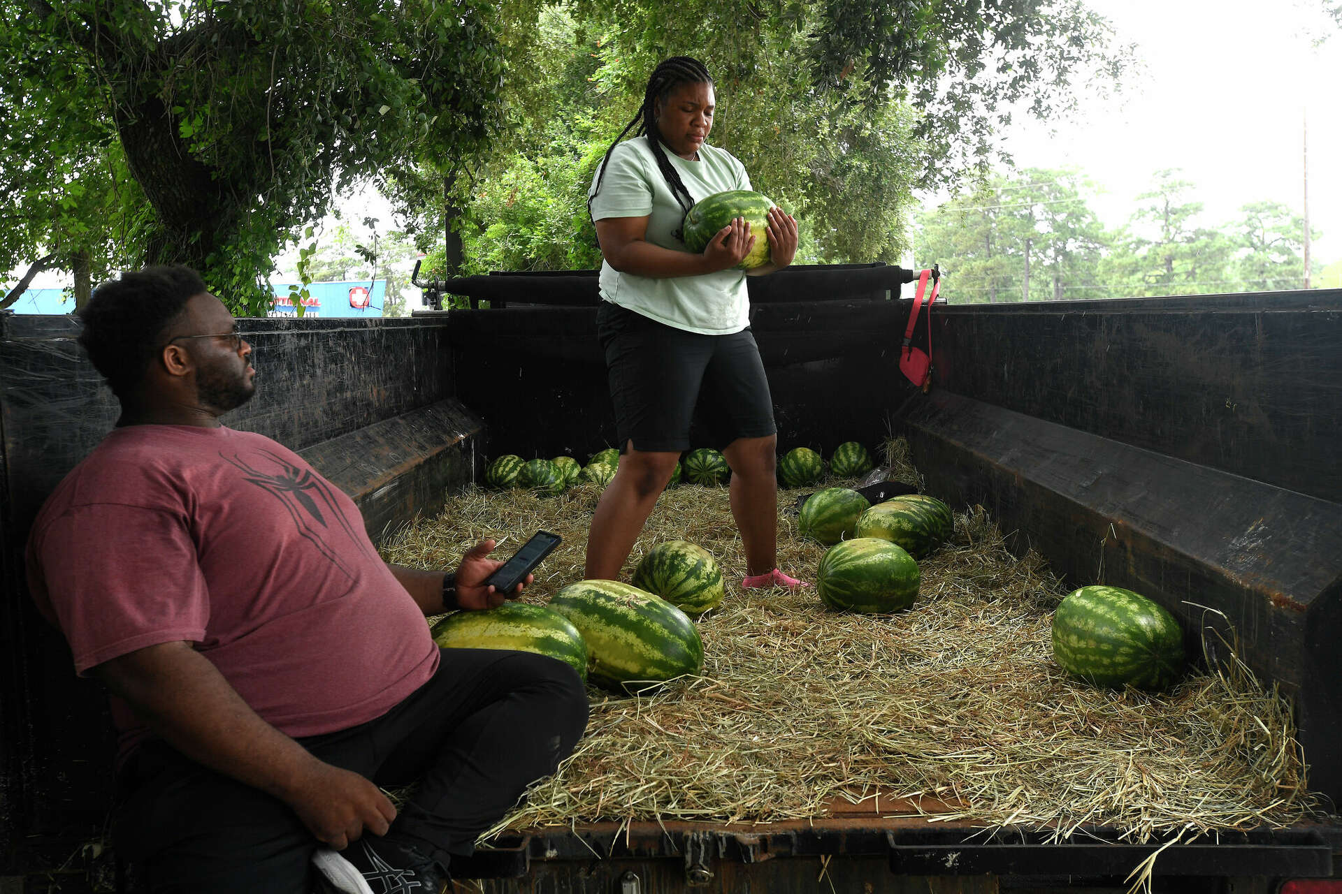 Beloved Sugartown melons have arrived in Southeast Texas