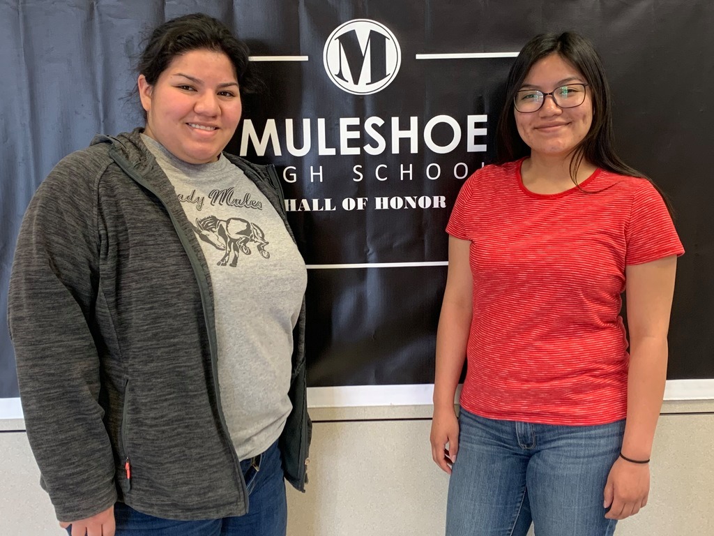 Muleshoe seniors place first in Lions Club district contests, move on ...