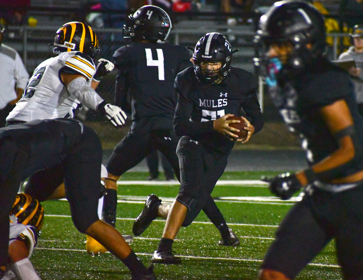 Mules return to action focused on playoff push