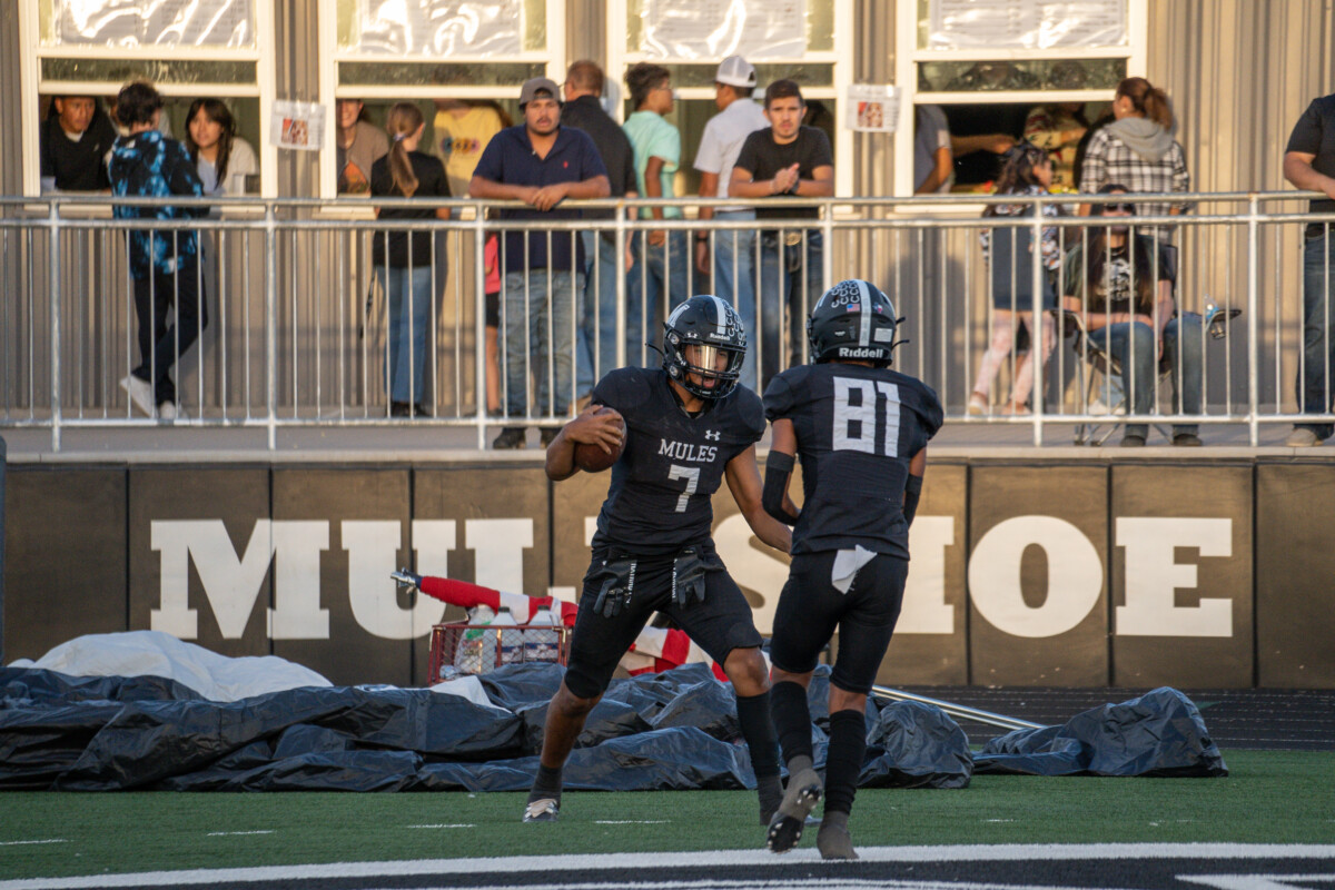 Mules hot streak continues in statement win