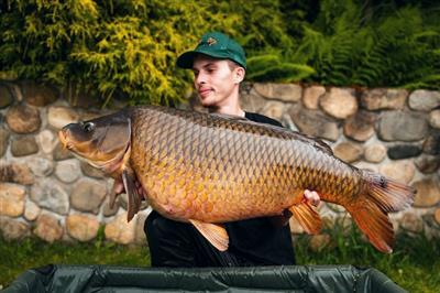 A state-record common carp caught in CT's Lake Lillinonah