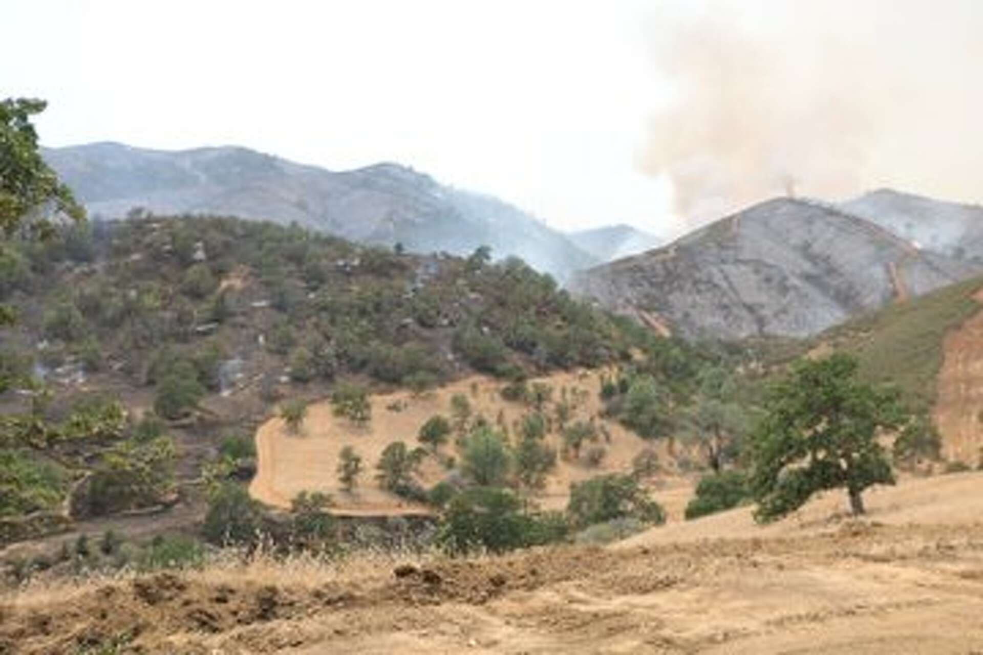 Northern California wildfires: Scorching heat at Sites, Point blazes