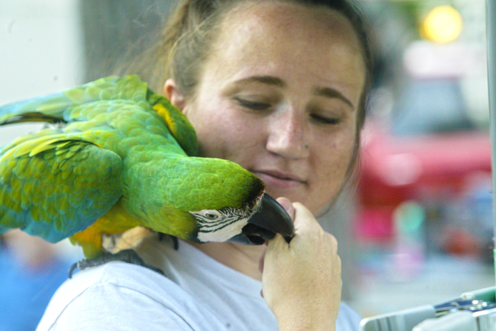 Photo: Cash and carry