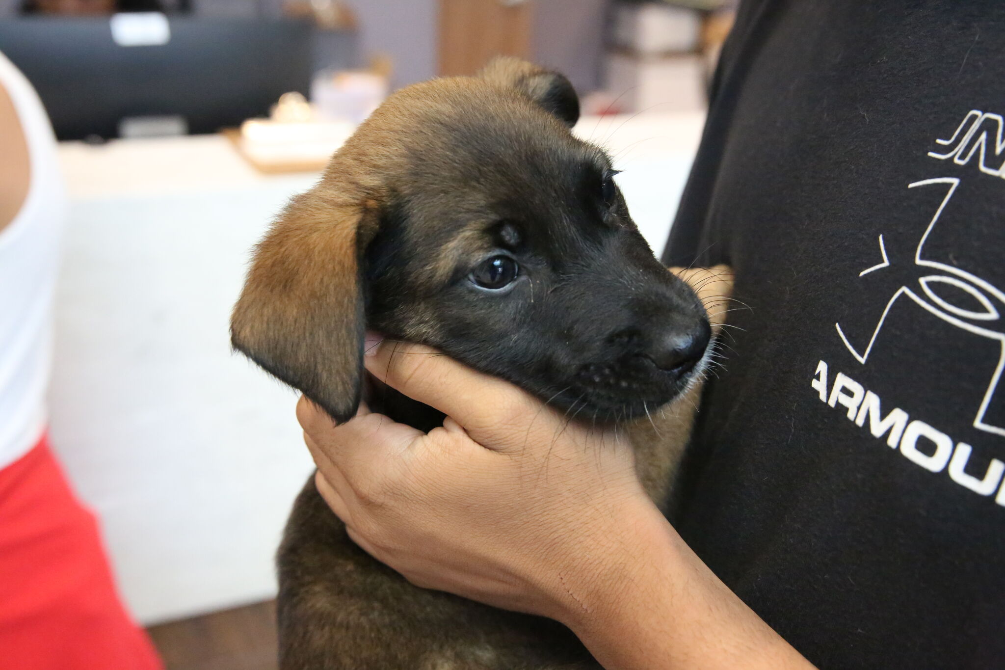 Jacam Catalyst debuts offshore chemical solutions