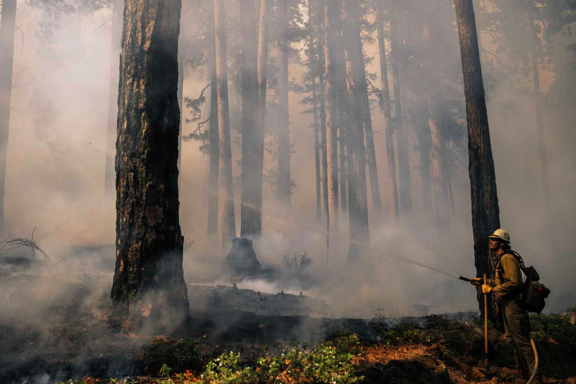 California saw record amount of prescribed fire this year
