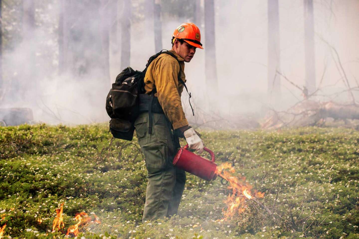 California saw record amount of prescribed fire this year