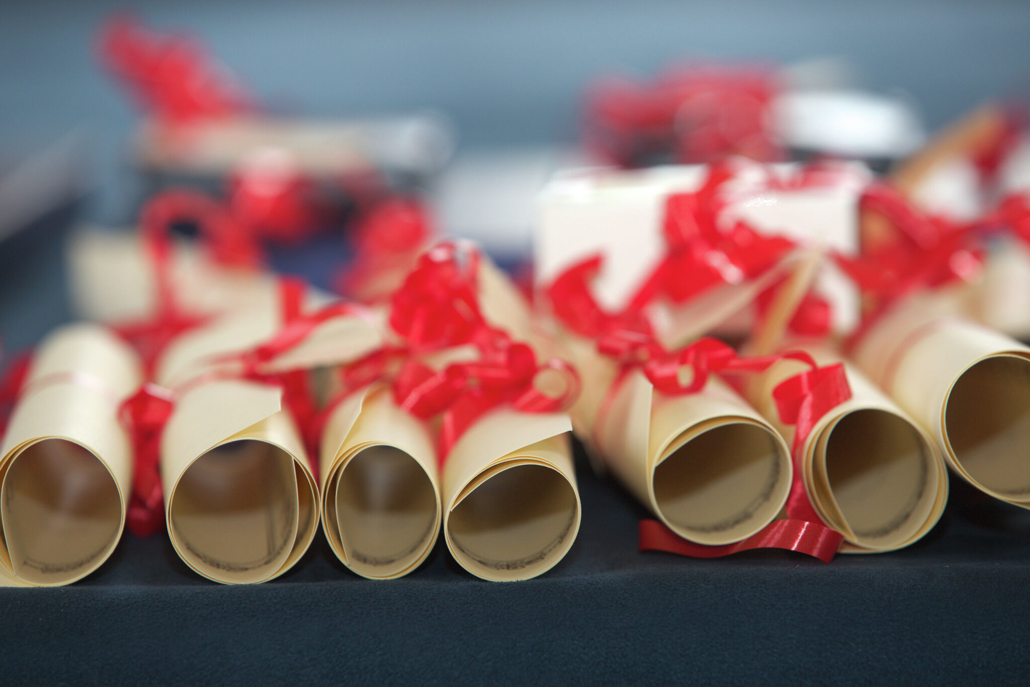 Lbj High School Logo