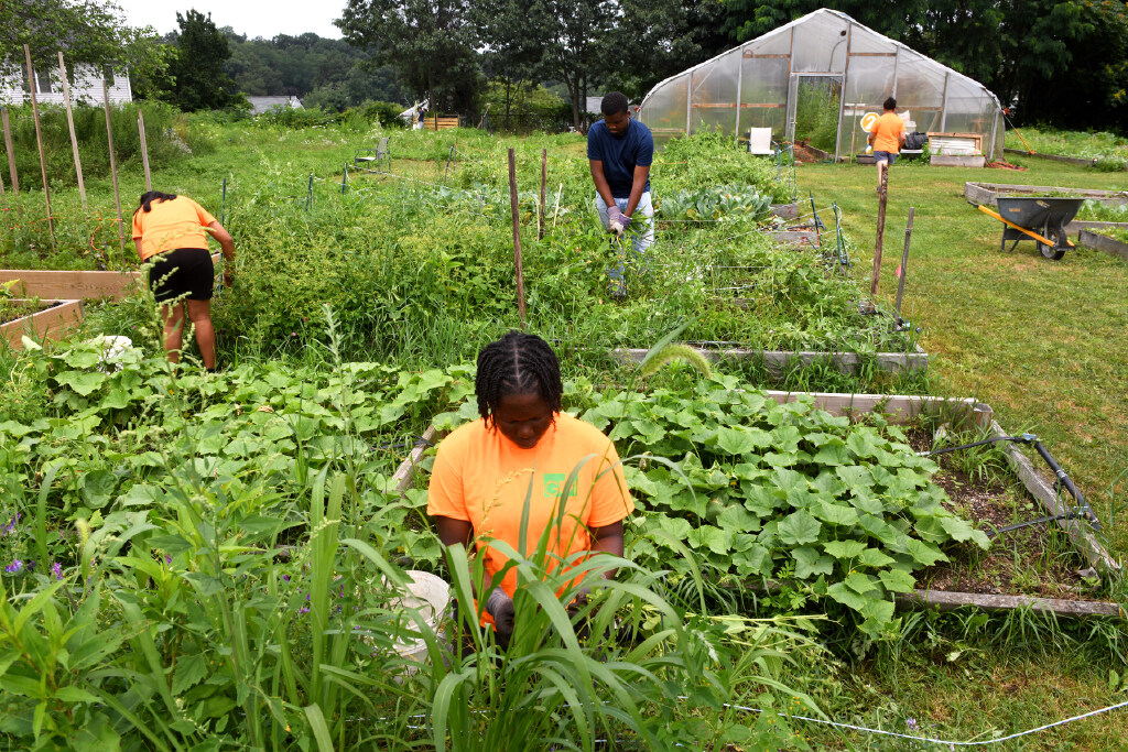 Minority farmers face hurdles in Connecticut