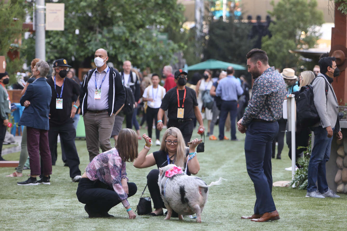 Bay Area tech's 'layoff surge' has slashed salaries, report says