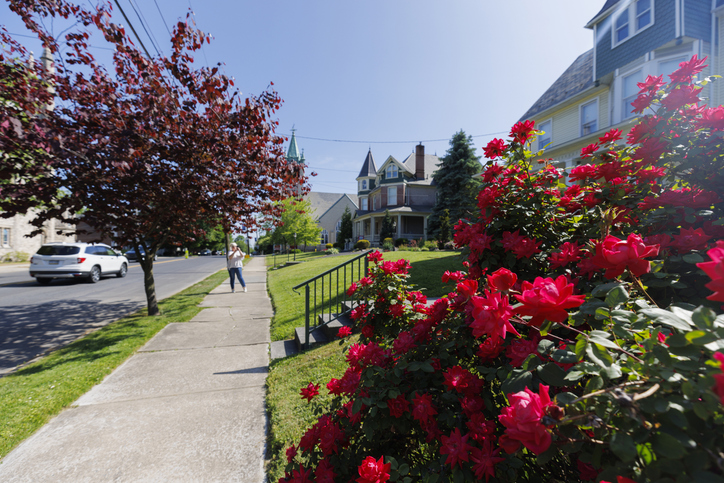 Seeing the beauty all around — Robin writes by Robin Garrison Leach