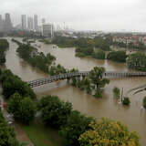 Here’s your guide to growing azaleas in the Houston area