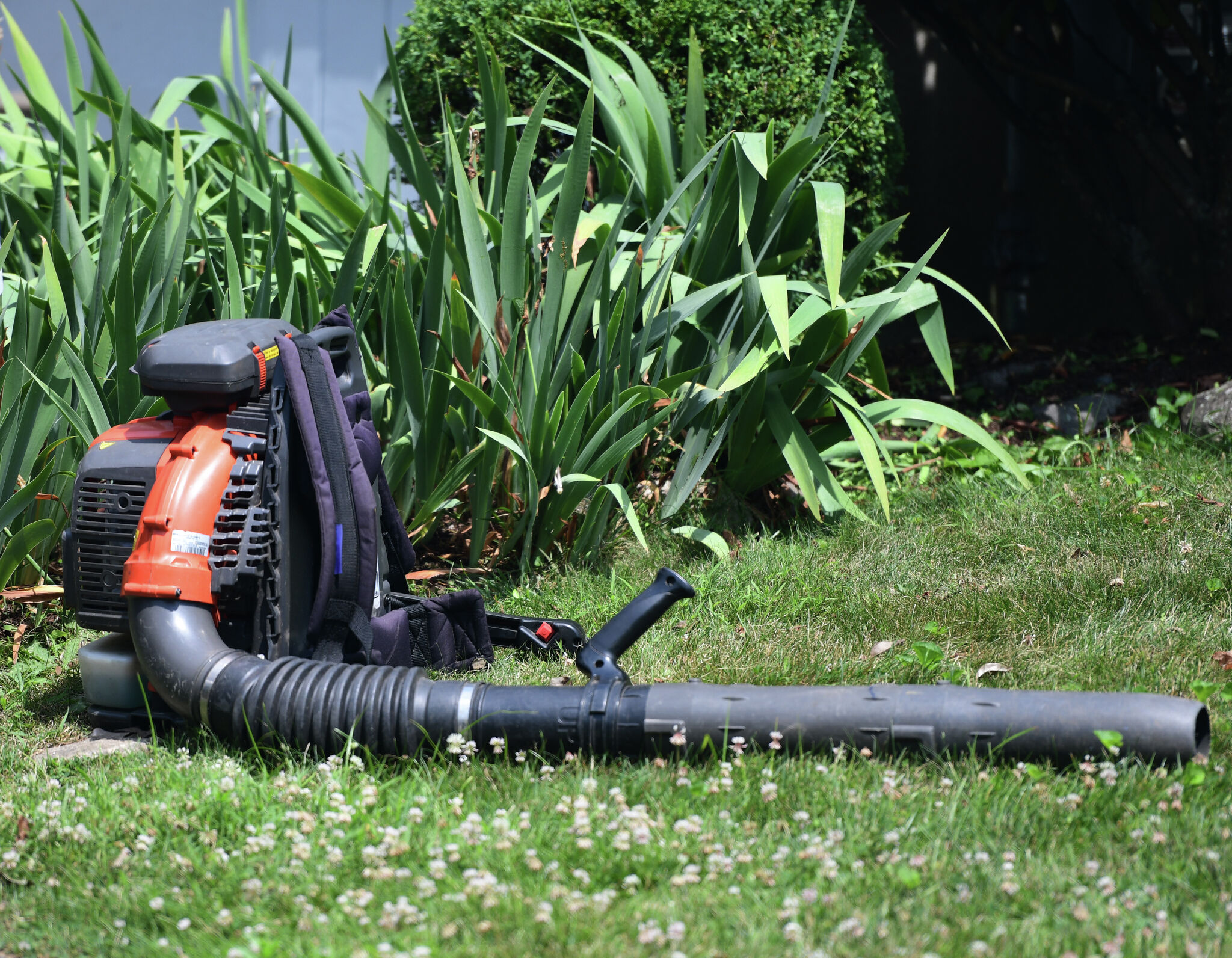Greenwich denies landscapers' plea to keep using gas leaf blowers