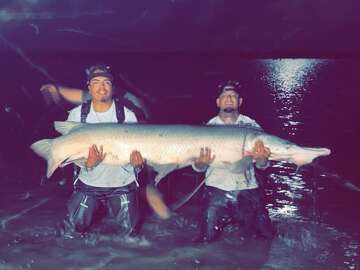 Angler catches 7-foot alligator gar at Lake Corpus Christi