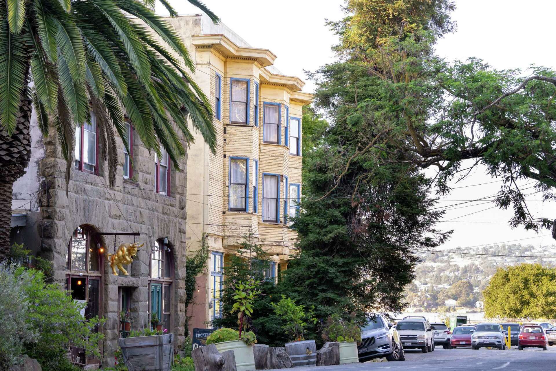 A NIMBY battle is tearing apart this quaint Bay Area town