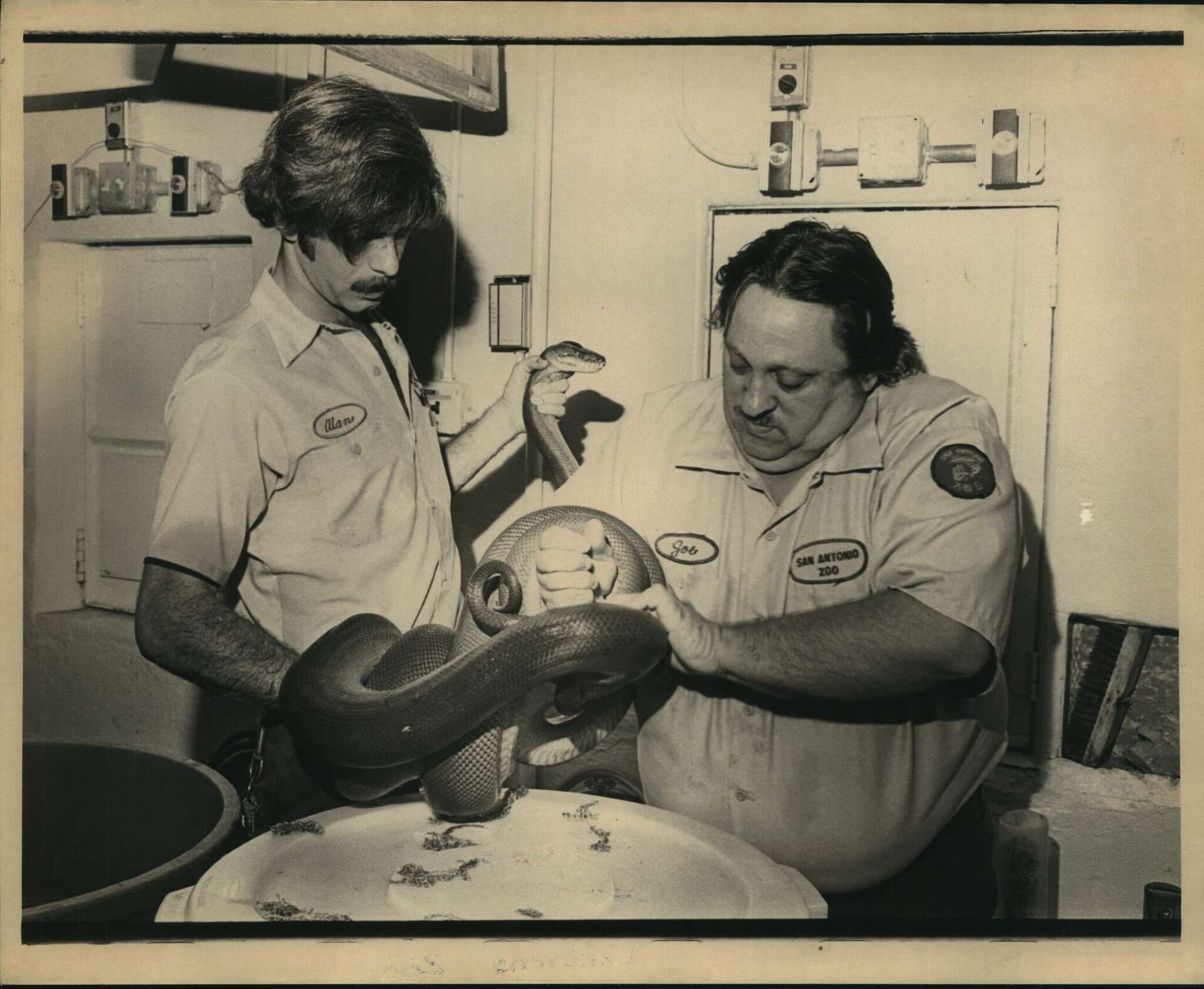 Former San Antonio Zoo herpetologist retires after five decades