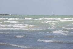 Red algae piles up on long stretch of Corpus Christi beach