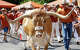 Texas football: Mascot Bevo has a history with Georgia's Uga