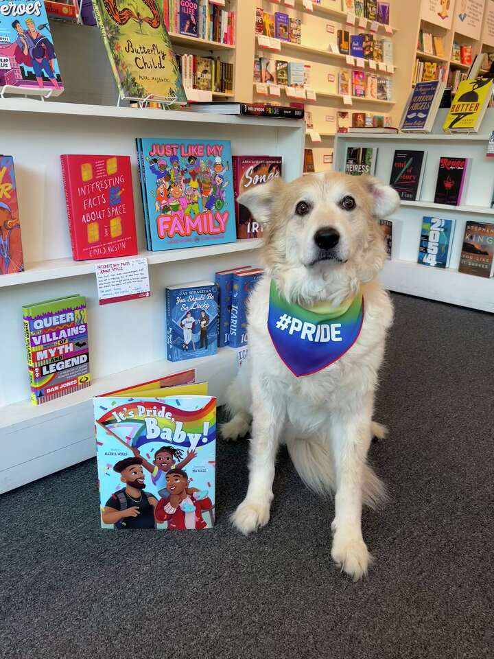 Forget bodega cats, meet Houston’s bookstore dogs