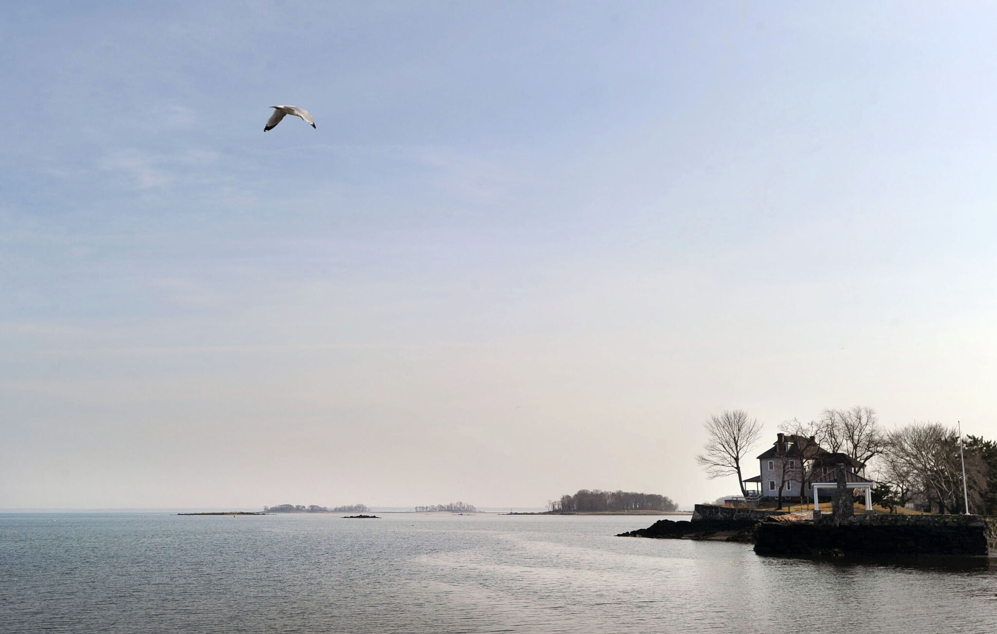 Protesters in Danbury denounce recent ICE detainments in city