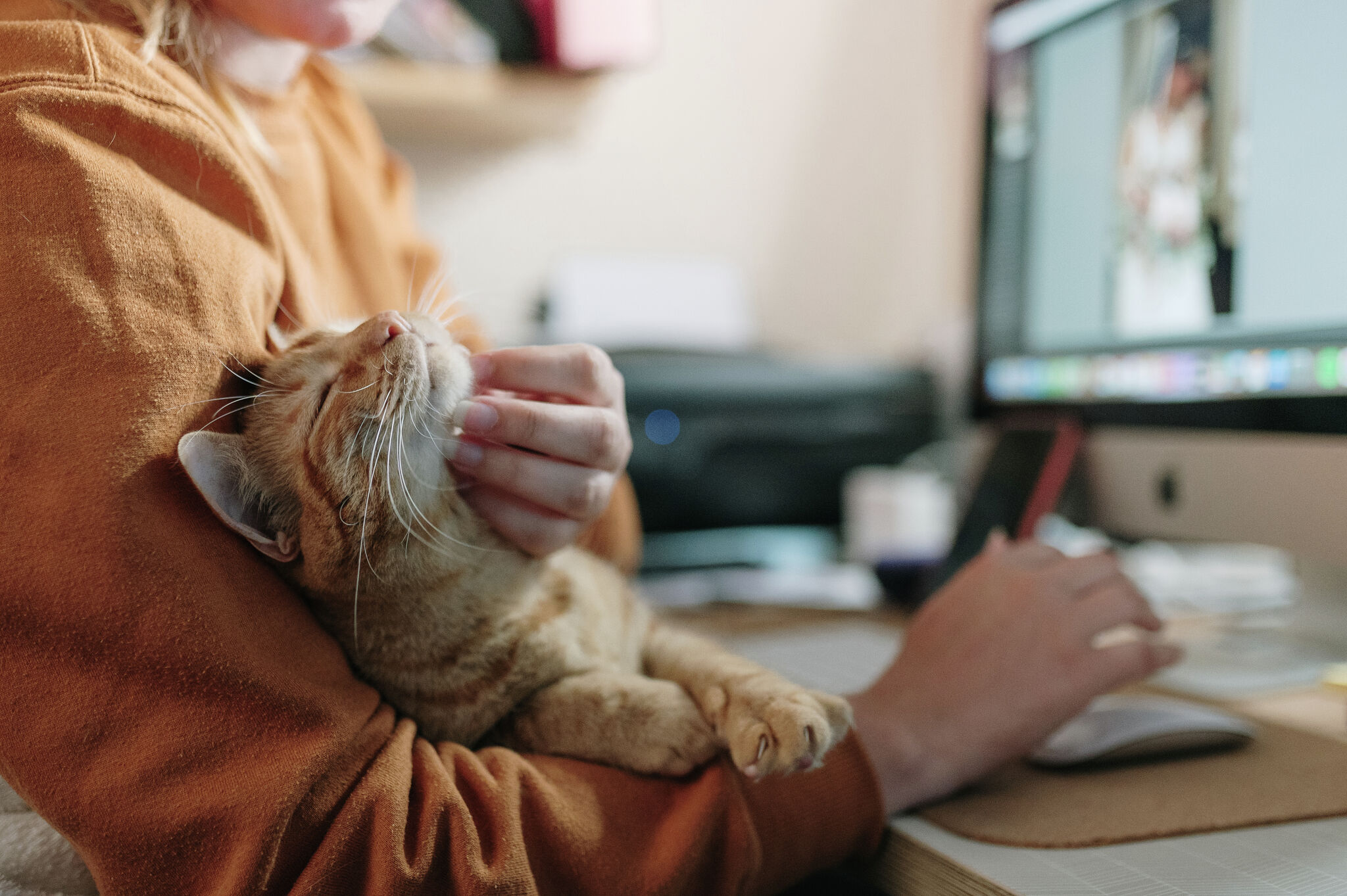 Balancing work and pets? Here are tips for busy pet owners.