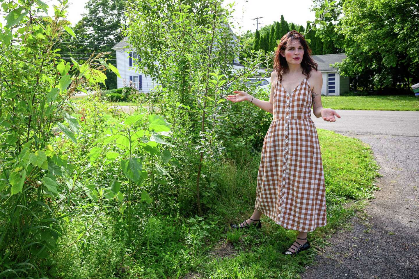 Catskill taking resident to court for refusing to mow lawn