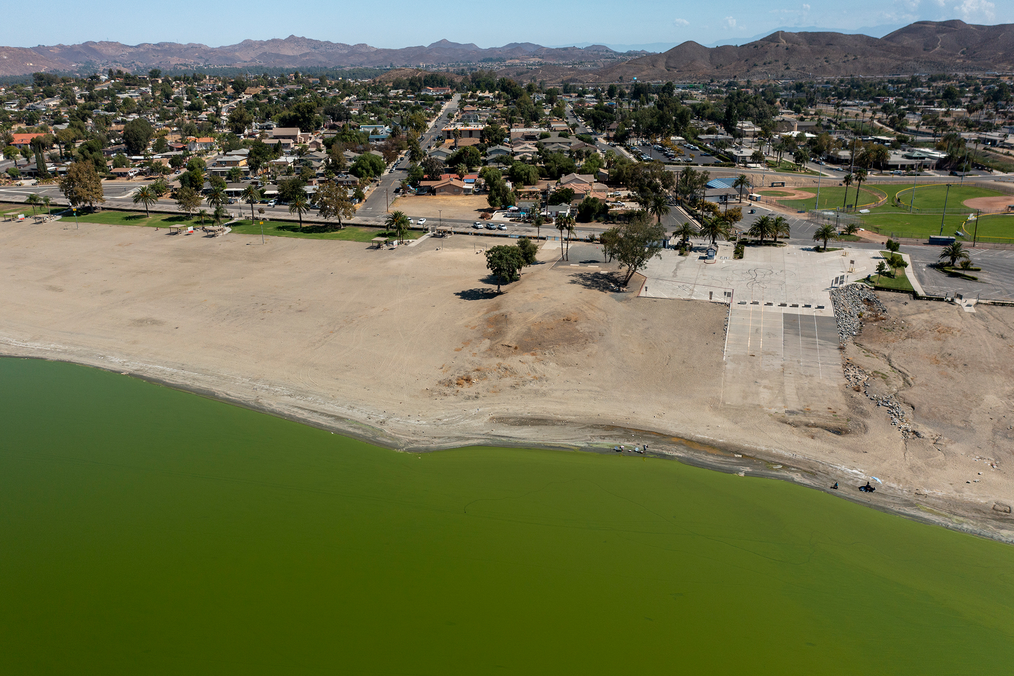 Toxic algae plagues SoCal's largest natural freshwater lake