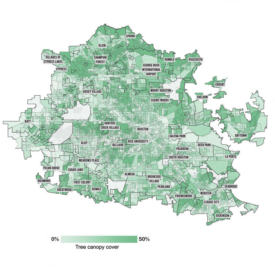 Houston plans to restore bayou forests to combat urban heat