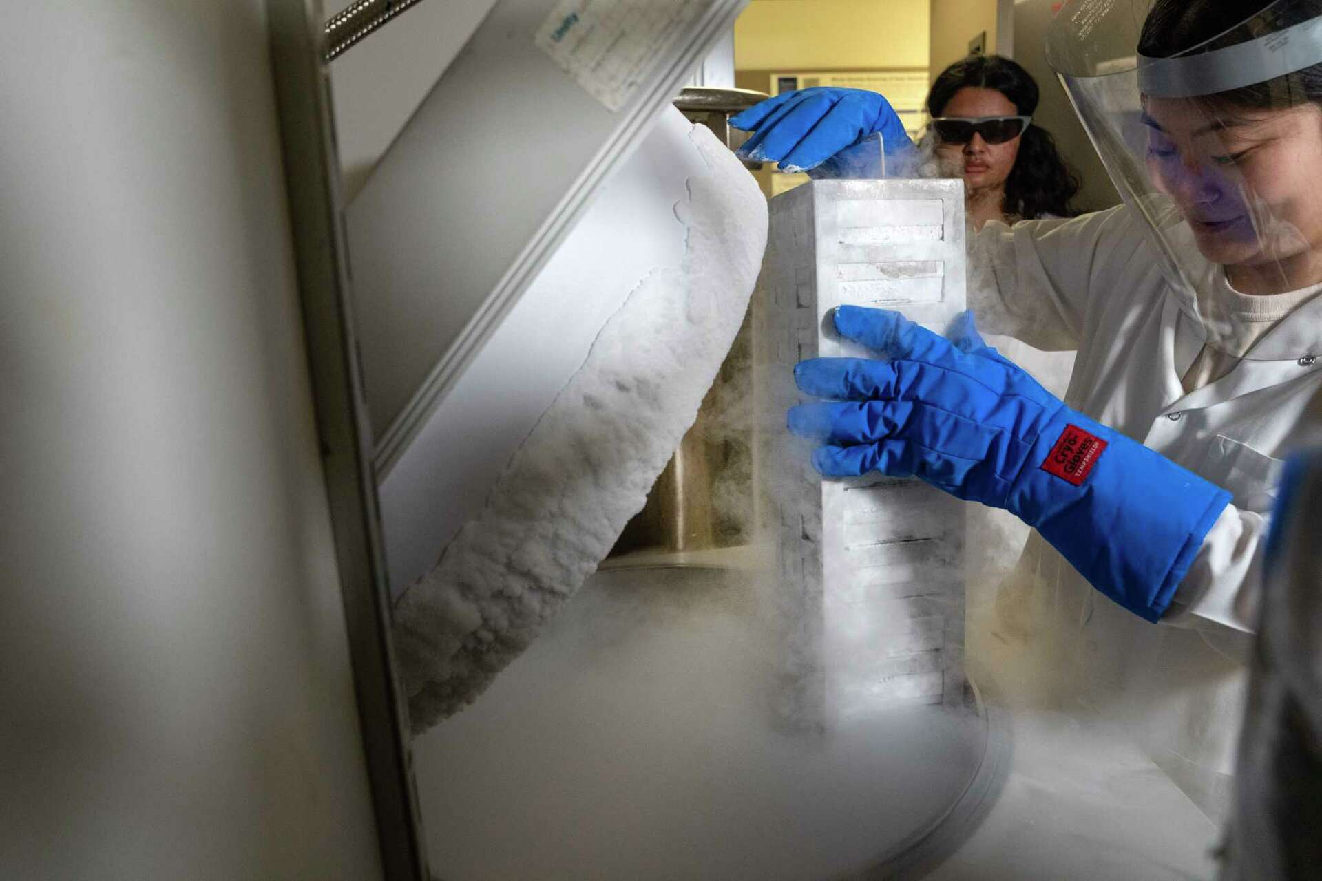 Baylor scientists discover fossil chromosomes in woolly mammoths