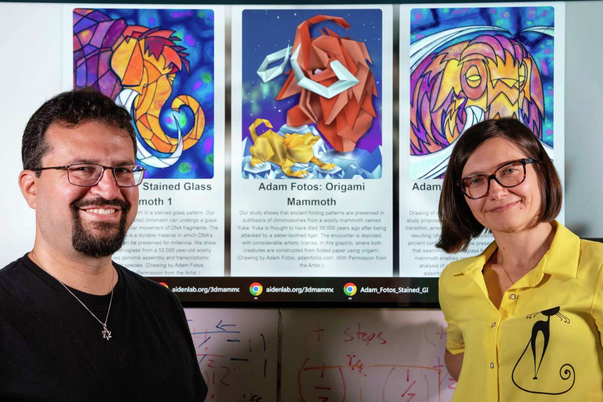 Baylor scientists discover fossil chromosomes in woolly mammoths