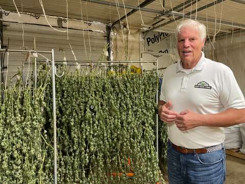 Hemp farmer files federal suit alleging CT's cannabis laws are unfair