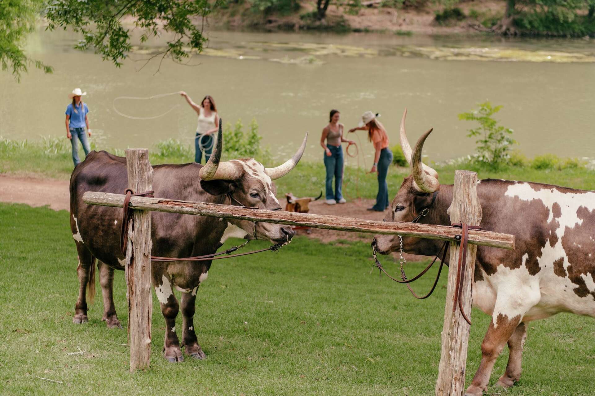 Texas resorts, destinations offer unique animal encounters