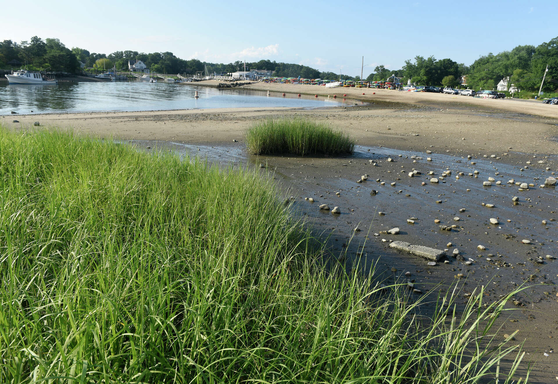 Darien moves to restart work on Pear Tree Point Beach erosion, more