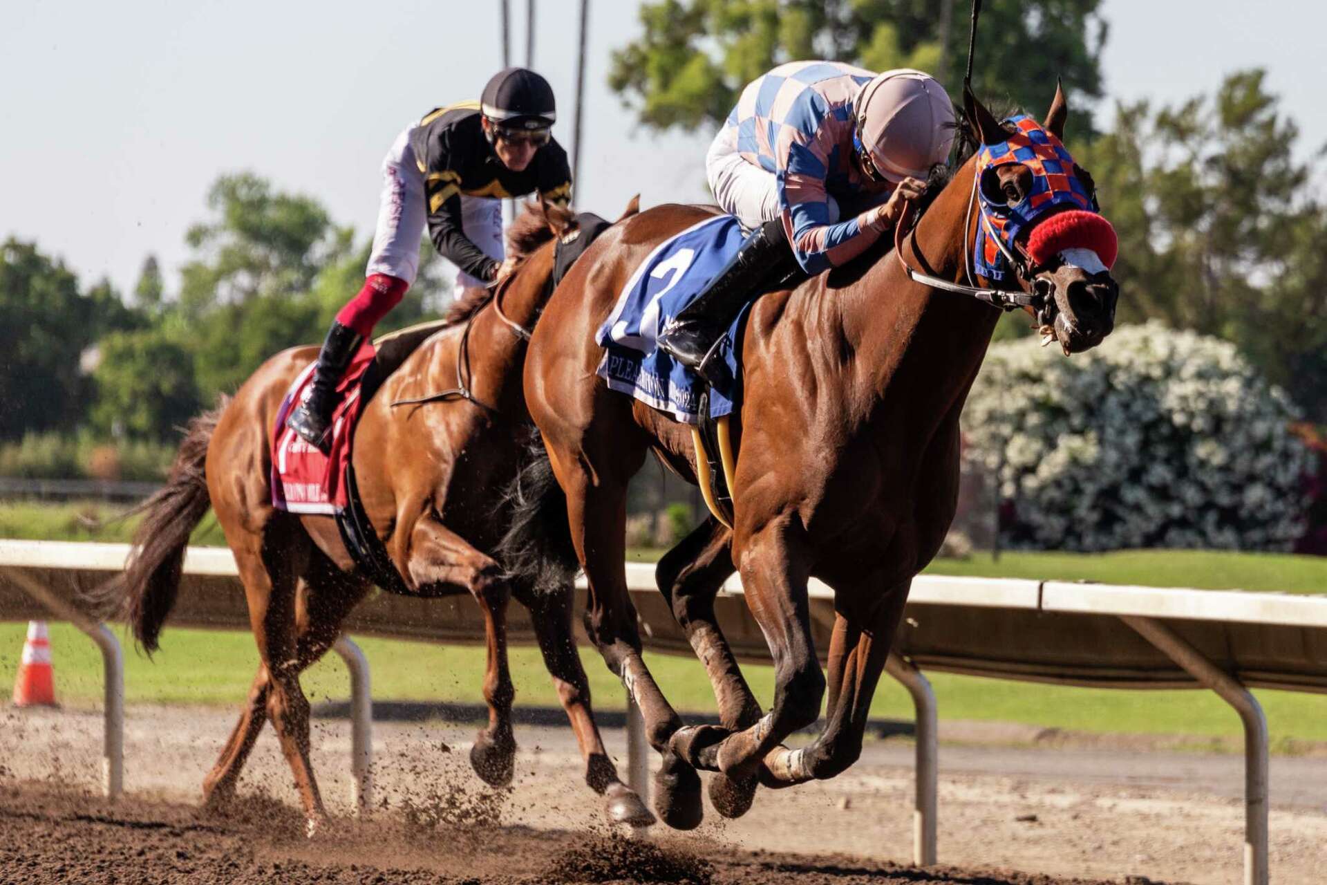 Alameda County Fair horse racing feels the effects of GGF closure