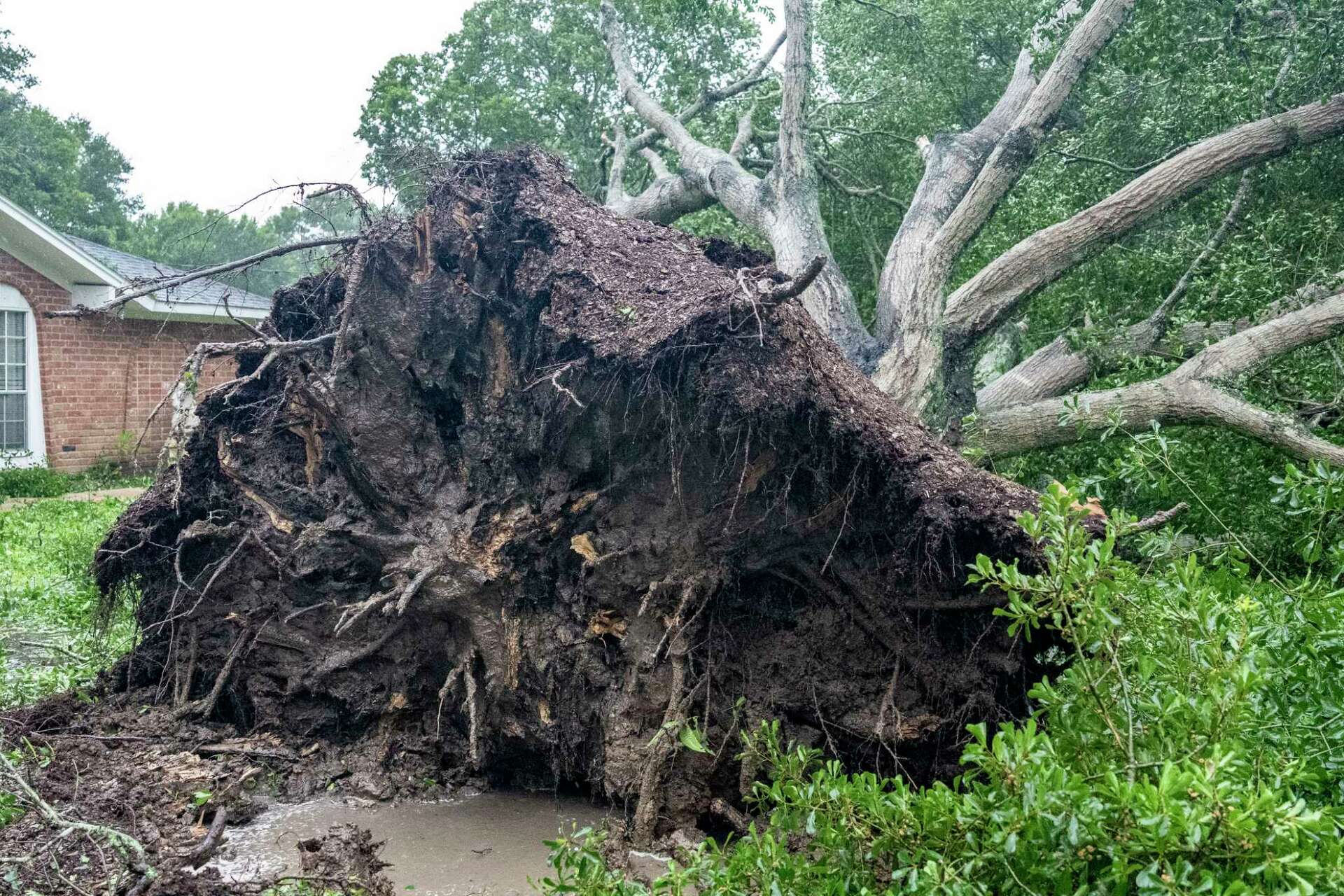 Hurricane Beryl damage: Houston, League City see rain, wind