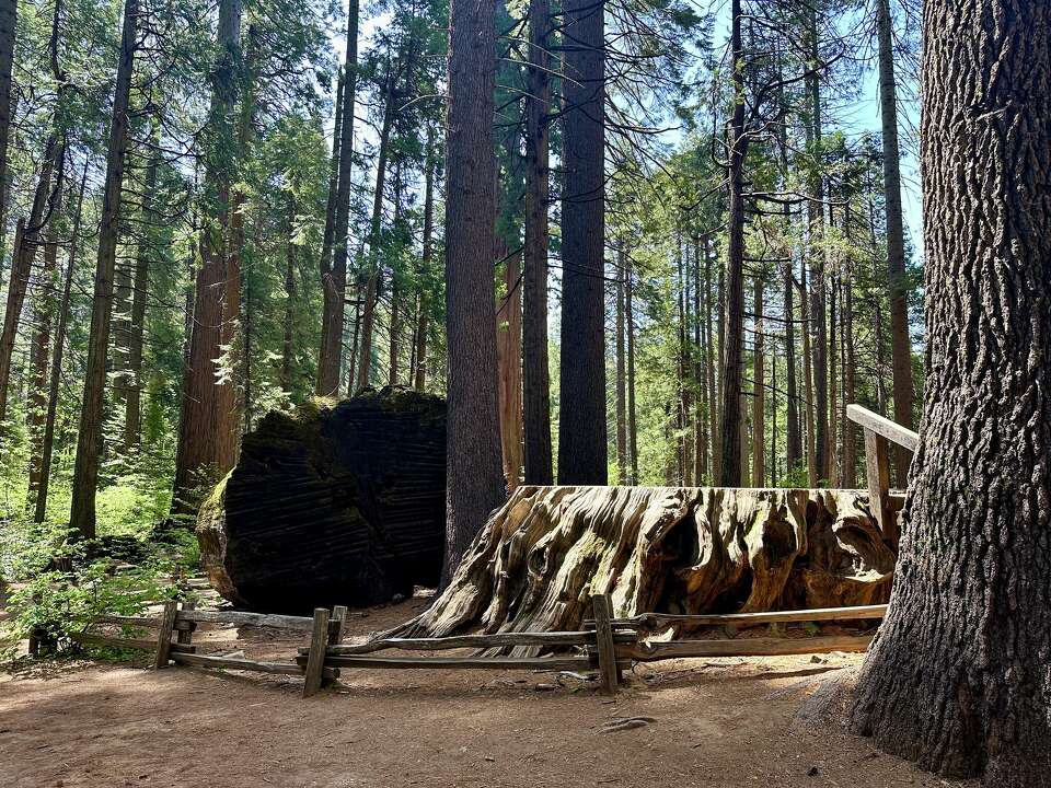 The tragedy of California's oldest tourist attraction