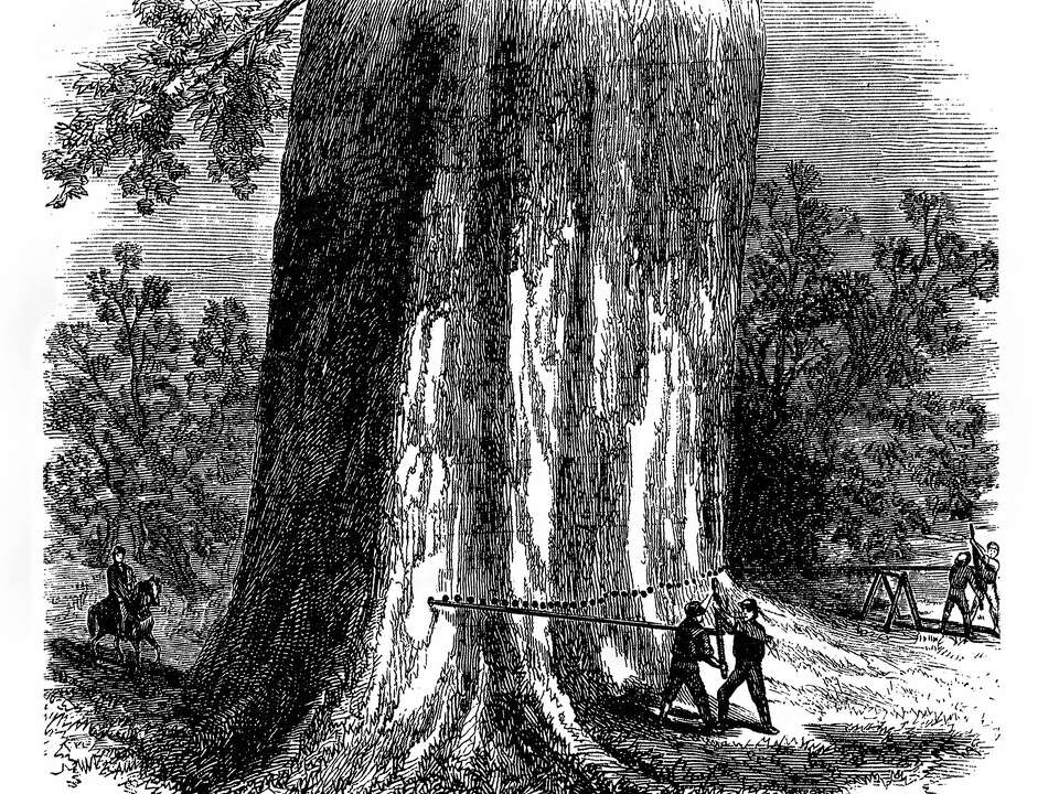 The tragedy of California's oldest tourist attraction