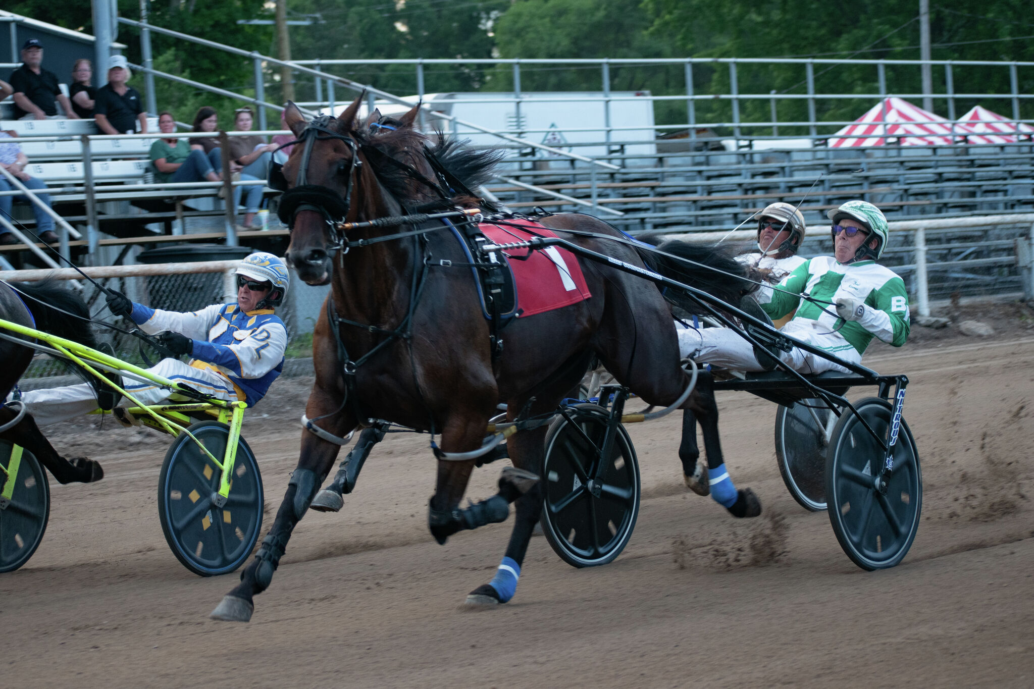 Big Rapids harness racing track record falls after 31 years