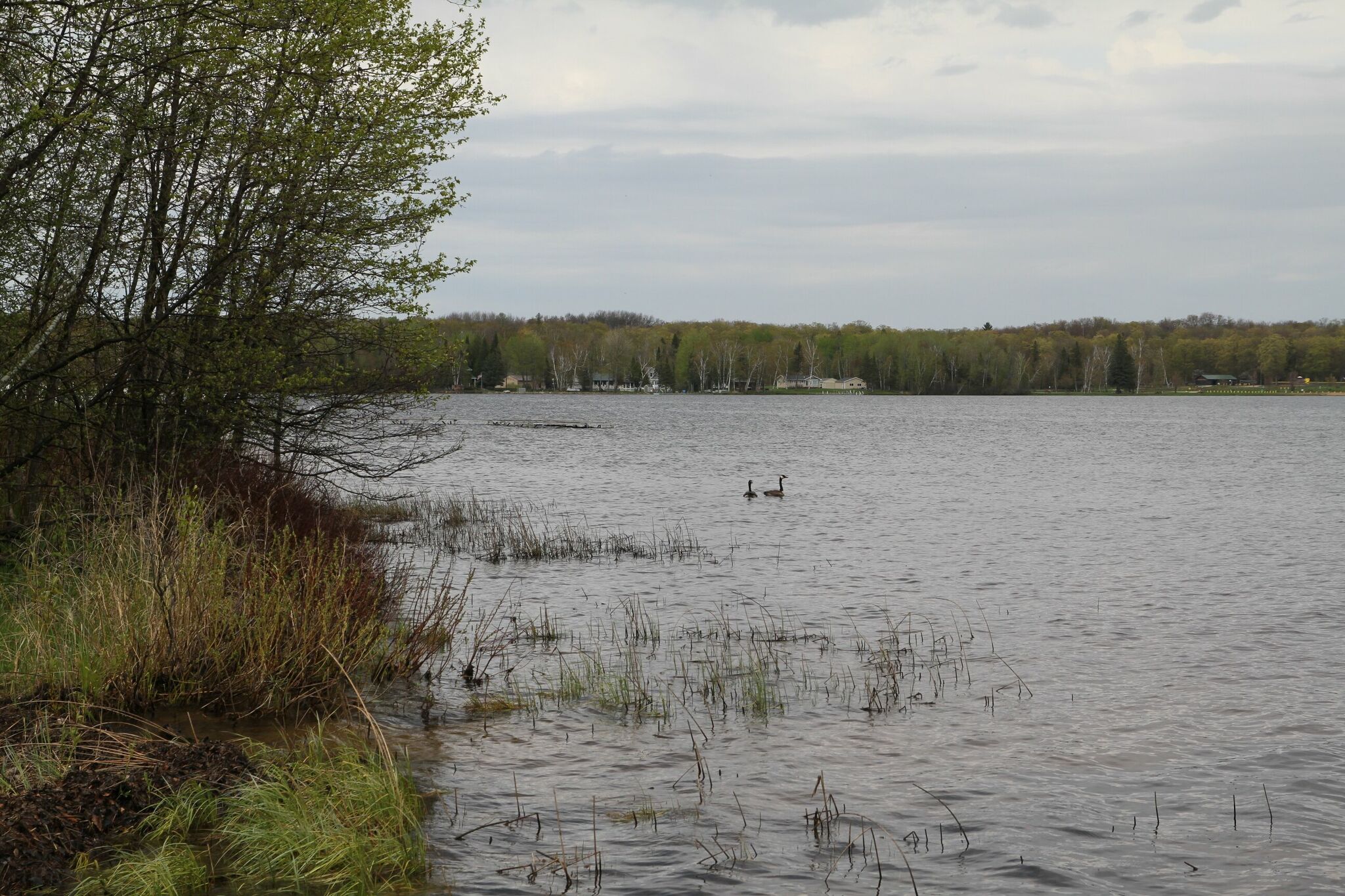 Michigan to auction off 91 properties next month, some lake frontage