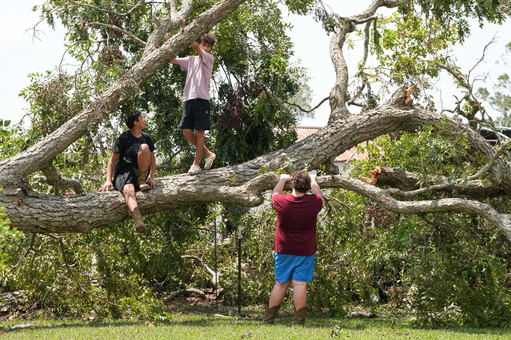 Elizabeth Sander - Journalist Profile - Intelligent Relations