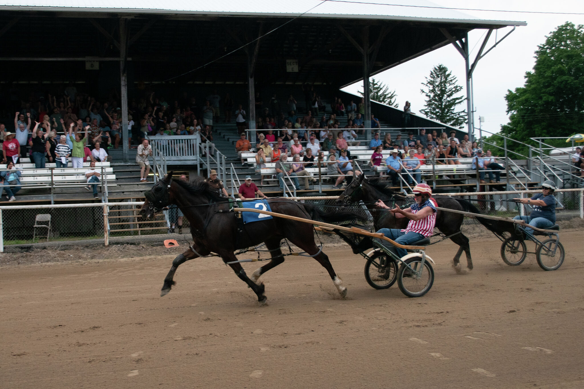 Jerry Aldrich wins Celebrity Harness Race at Mecosta County Free Fair