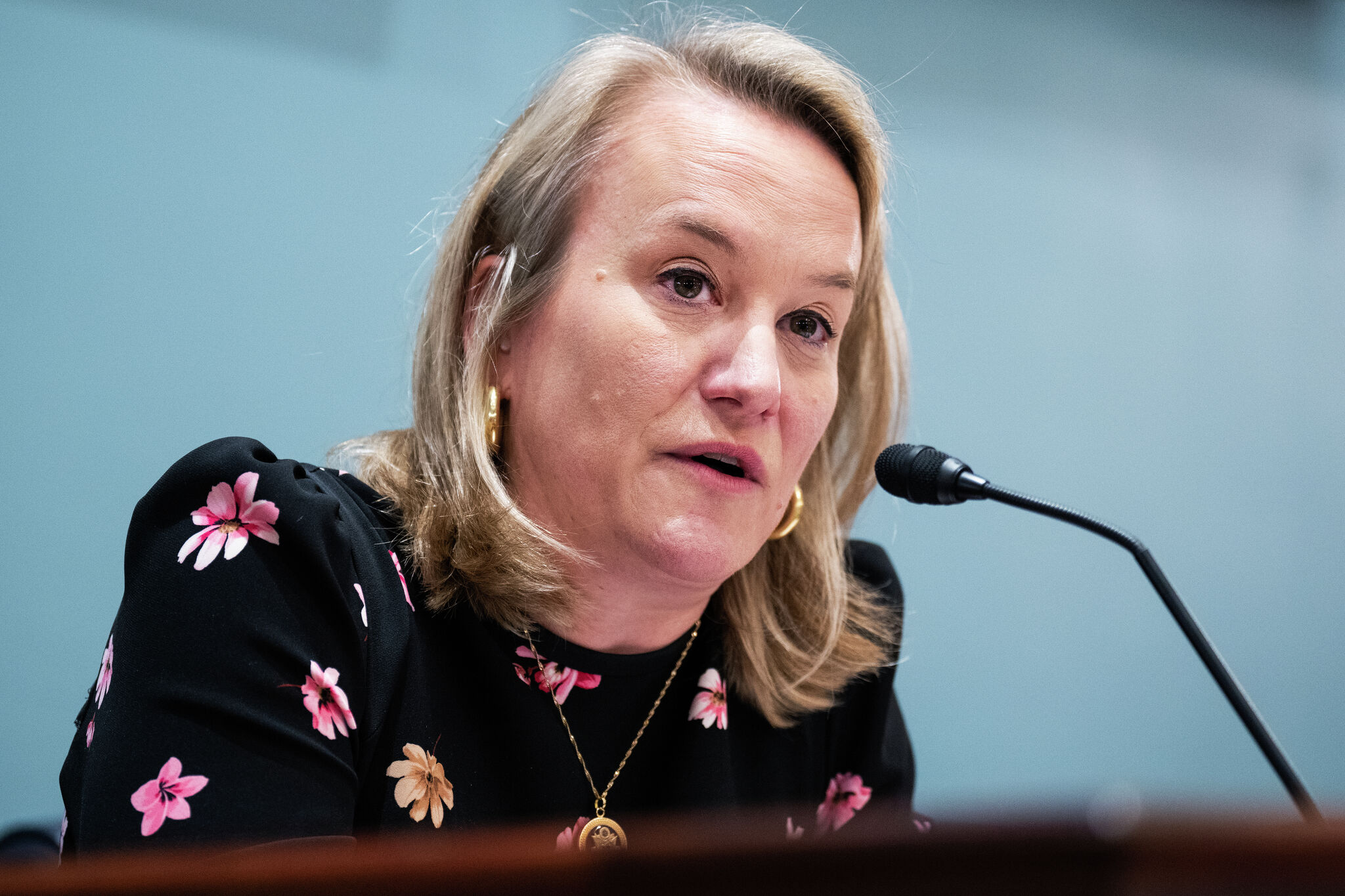 Nikki Budzinski secures U.S. House seat in Illinois' 13th District