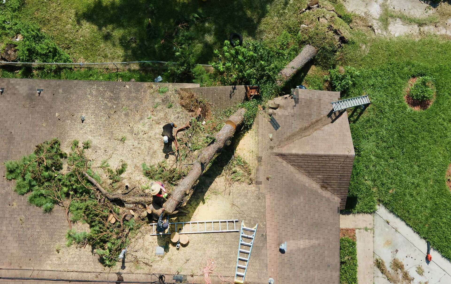 Here's what to do with Hurricane Beryl tree debris and other trash