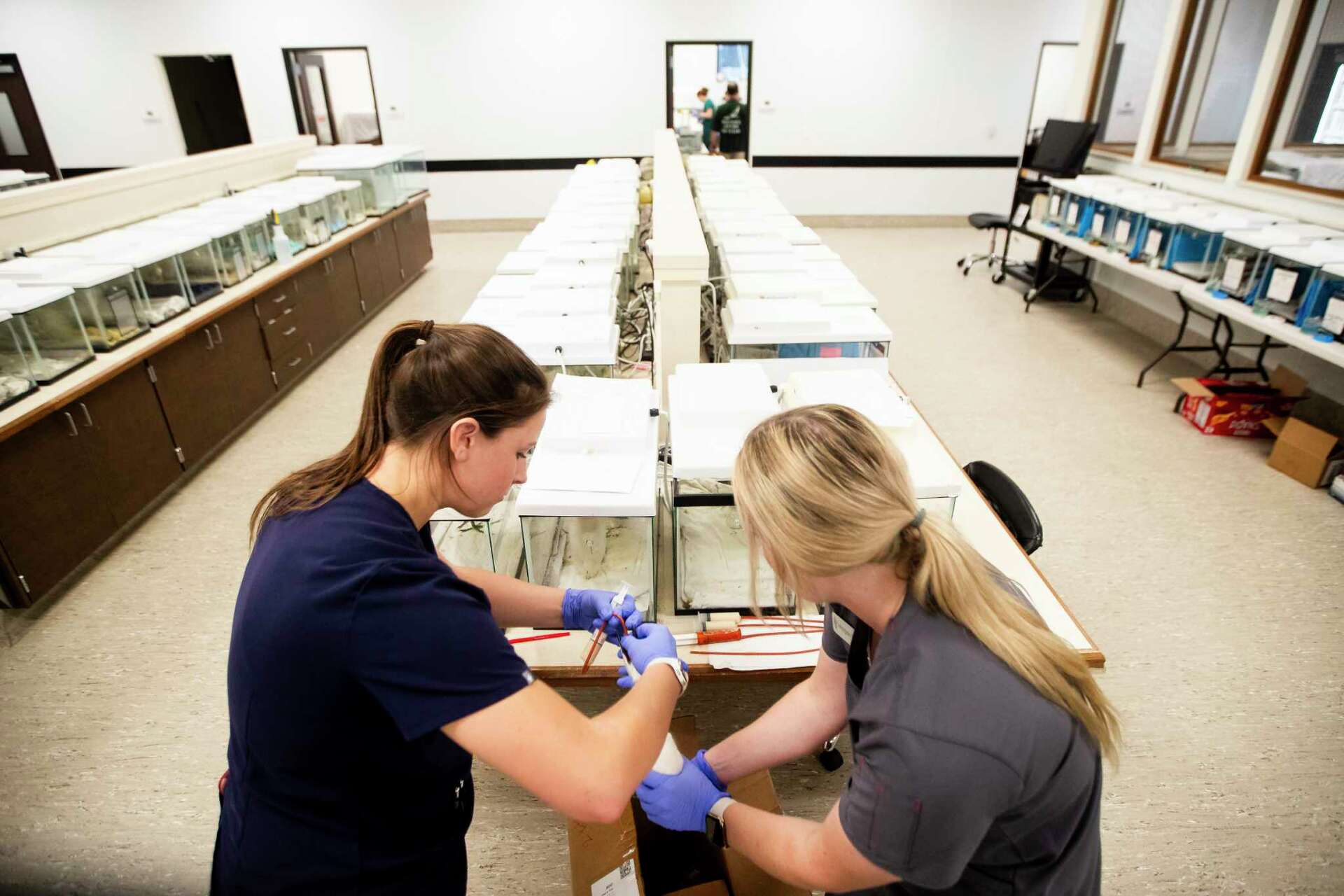 Here's what to do with Hurricane Beryl tree debris and other trash