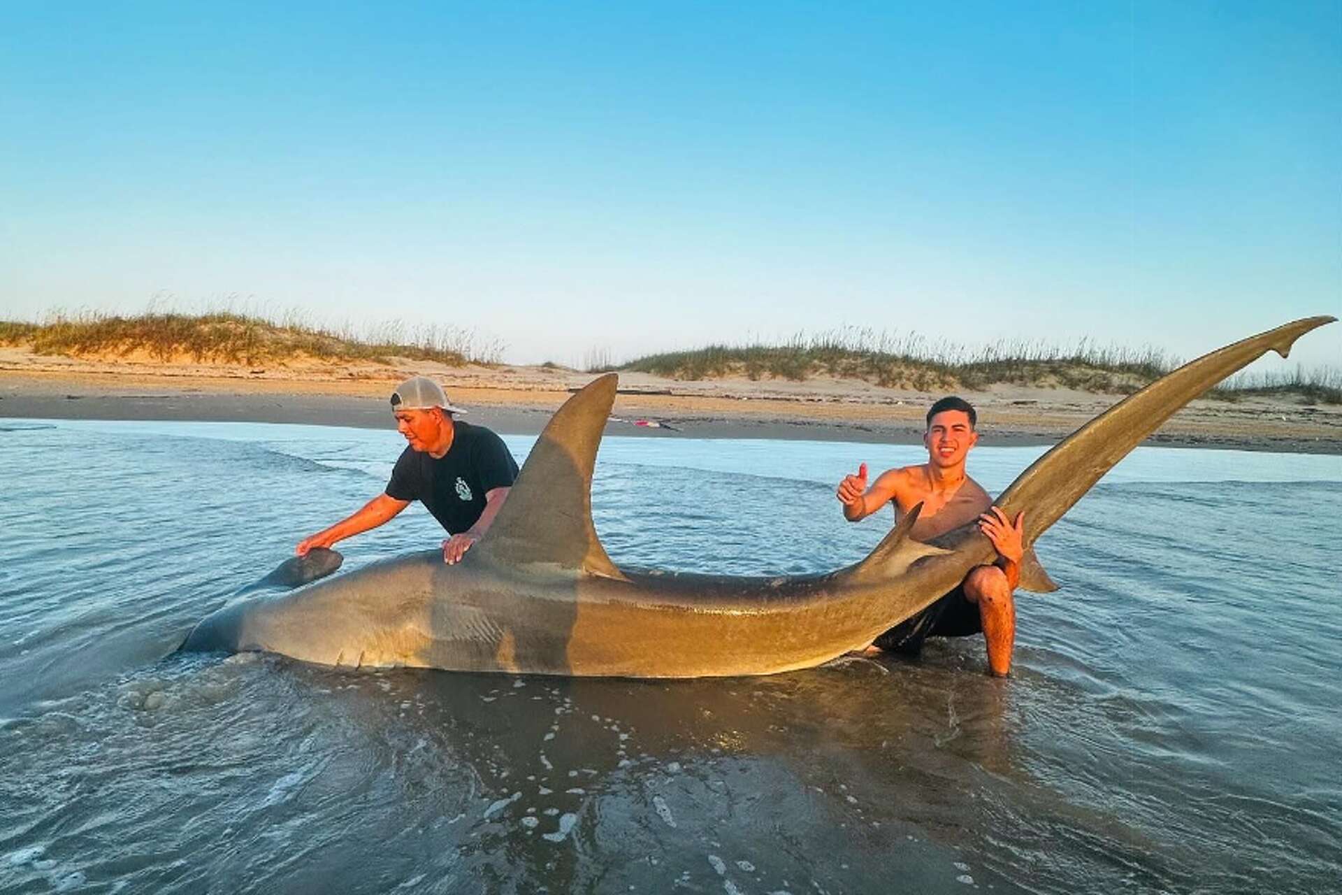 Hammerhead shark caught in Port Aransas