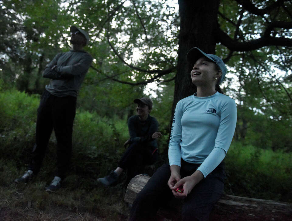 At 'untouched meadow' in CT, thousands of protected fireflies thrive