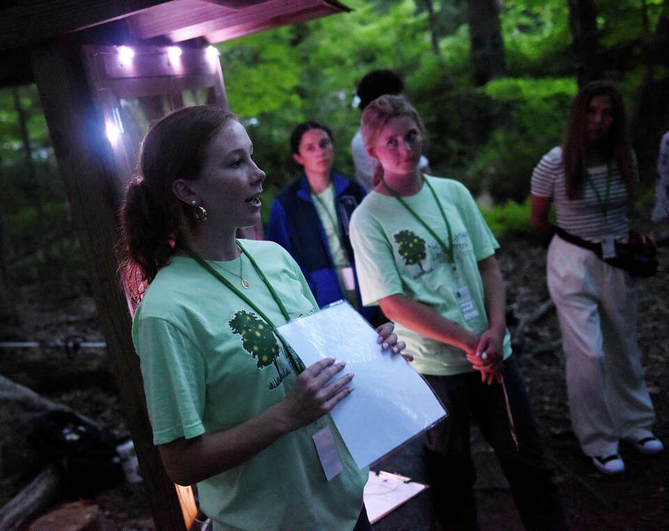 At 'untouched meadow' in CT, thousands of protected fireflies thrive