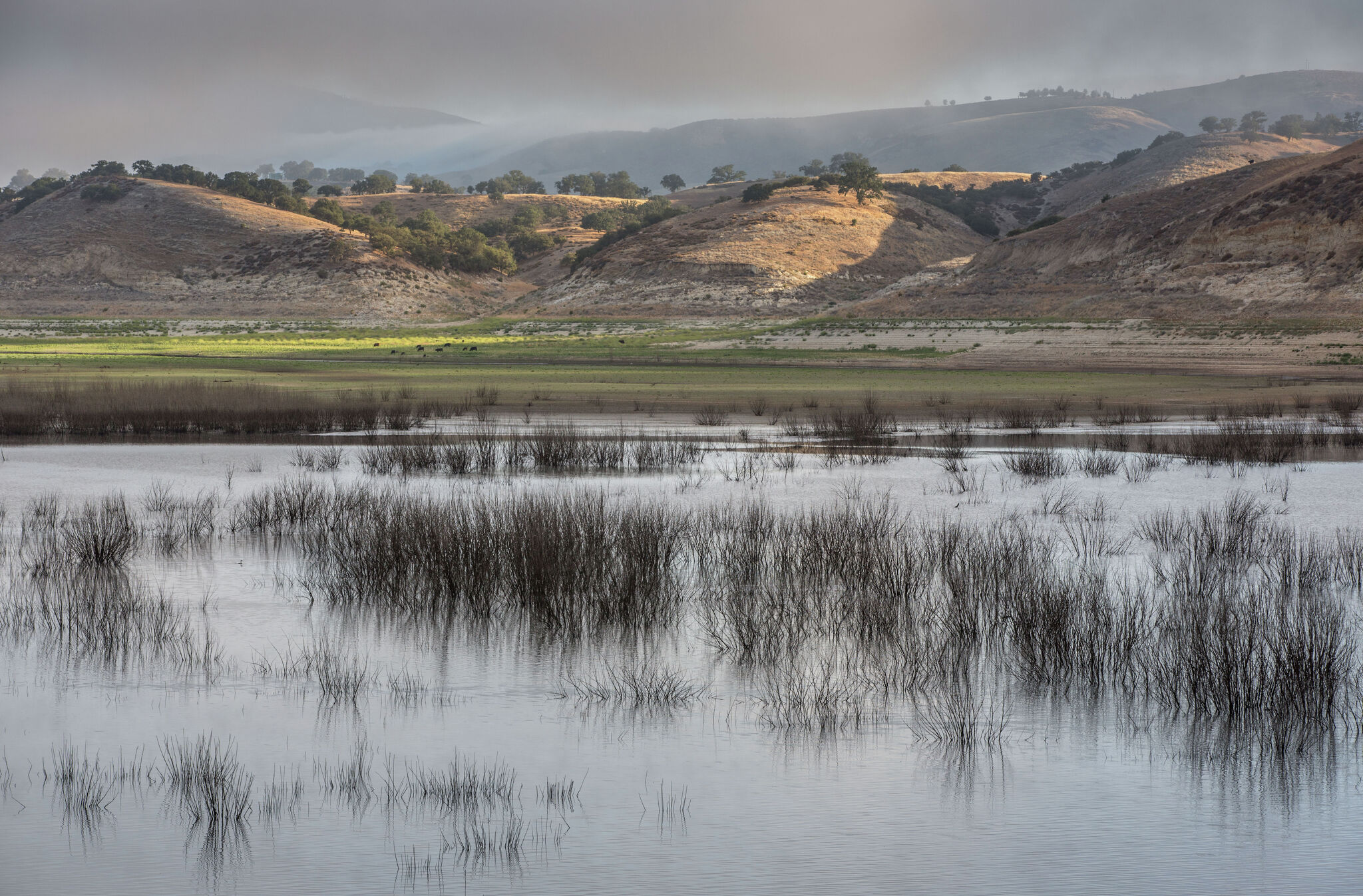 Popular Calif. lake closed indefinitely due to historic fish die-off